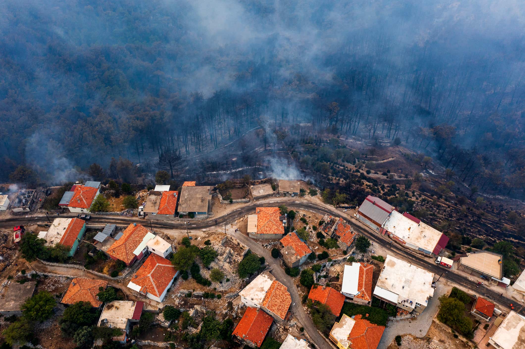 Xiaojia He, PhD - Chemical Insights